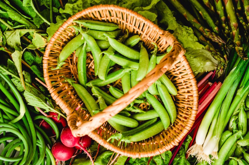 Find a Market 2025 | Farmers' Markets of Nova Scotia